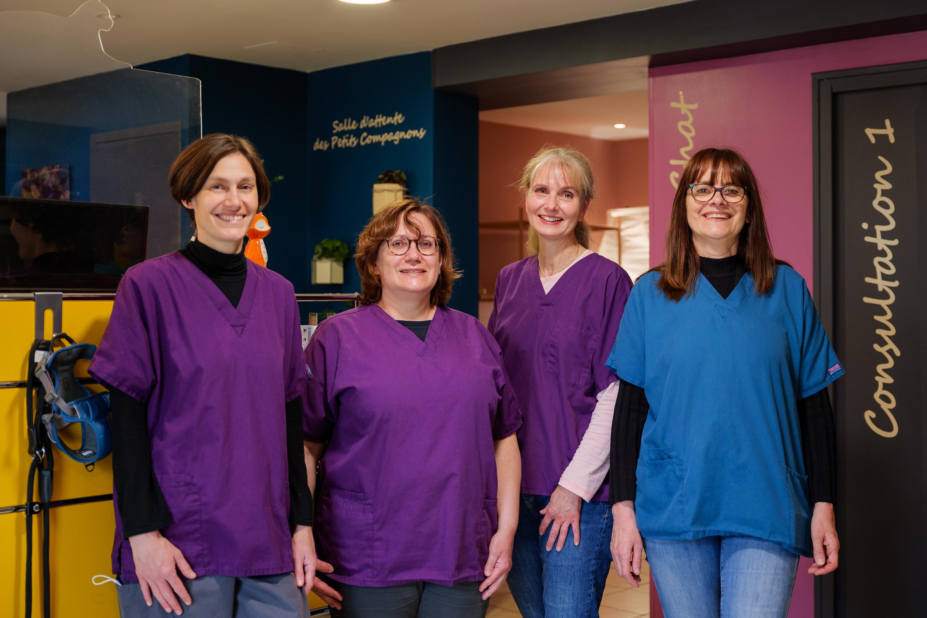 Clinique Vétérinaire de la foret - Avon - Sevetys - (77210) Sevetys